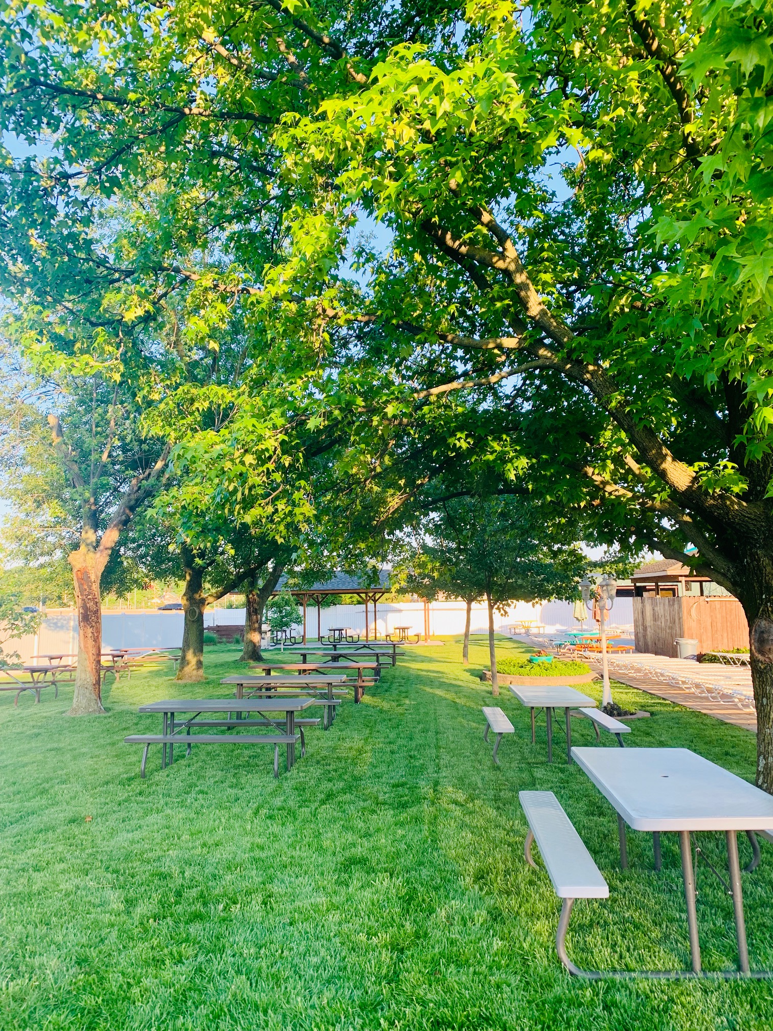 Photo Gallery | Indian Hills Swim Club