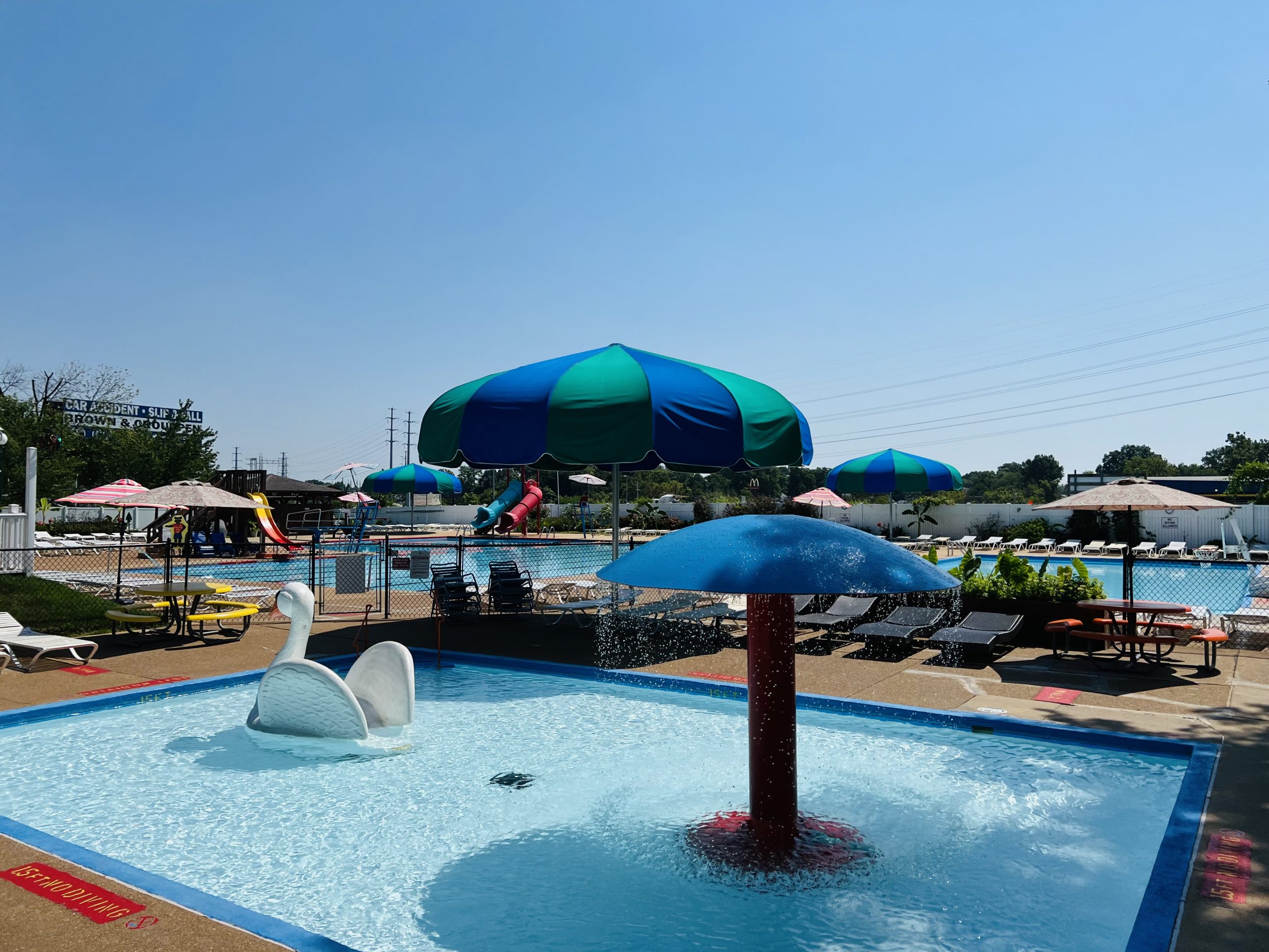 Photo Gallery | Indian Hills Swim Club